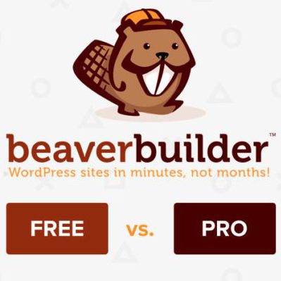 پلاگین بیور بیلدر پرو - Beaver Builder Pro - وردپرسینجا
